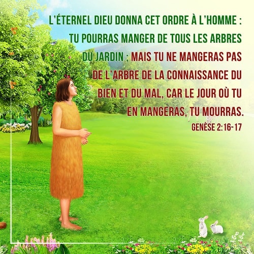 Genèse 2:16-17 – Évangile du jour