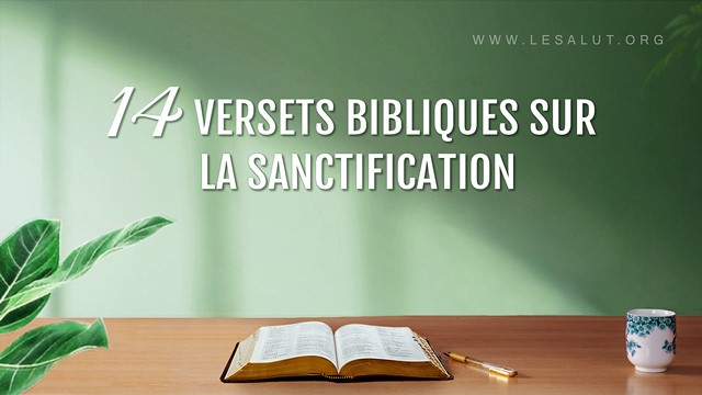 14 versets bibliques sur la sanctification – Comment chercher à ...